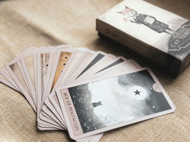 Do You Need More Cat Tarot Decks? Yes, You Do. – The Fortune Teller's ...