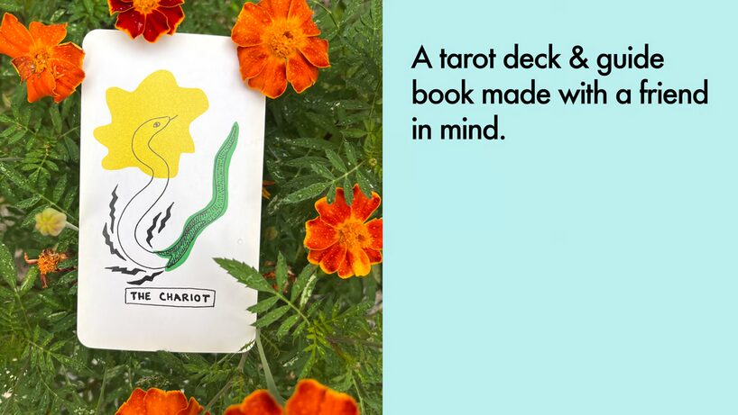 Kickstarter Campaign Spotlight: Two Bugs Tarot – The Fortune Teller's ...