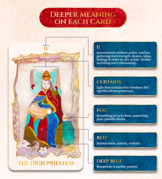 Kickstarter Campaign: Anima Tarot de Marseille – The Fortune Teller's ...